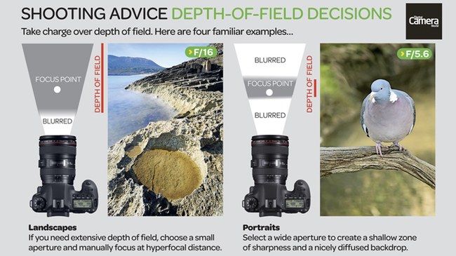 Photography cheat sheet: Depth-of-field decisions | Digital Camera World