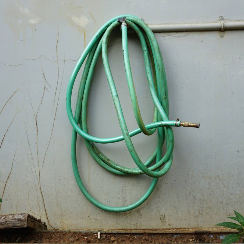 Tips & Information about Gardening How To | Gardening Know How