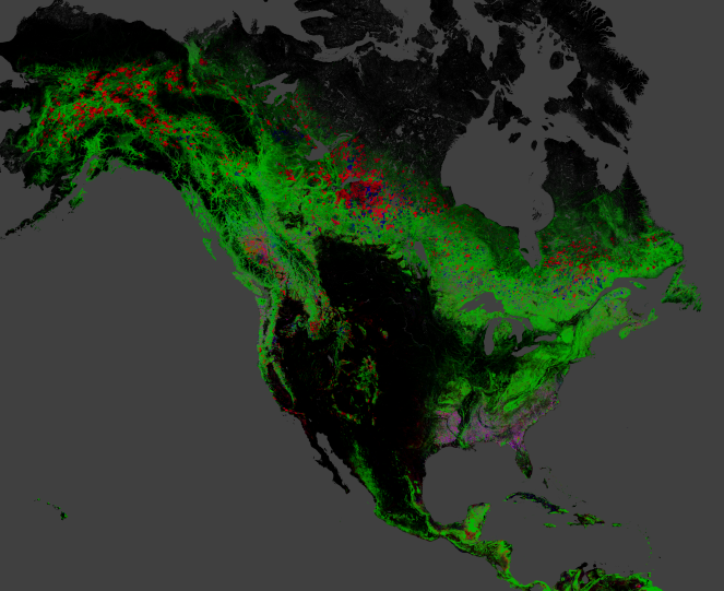 Vanishing Forests: New Map Details Global Deforestation | Live Science