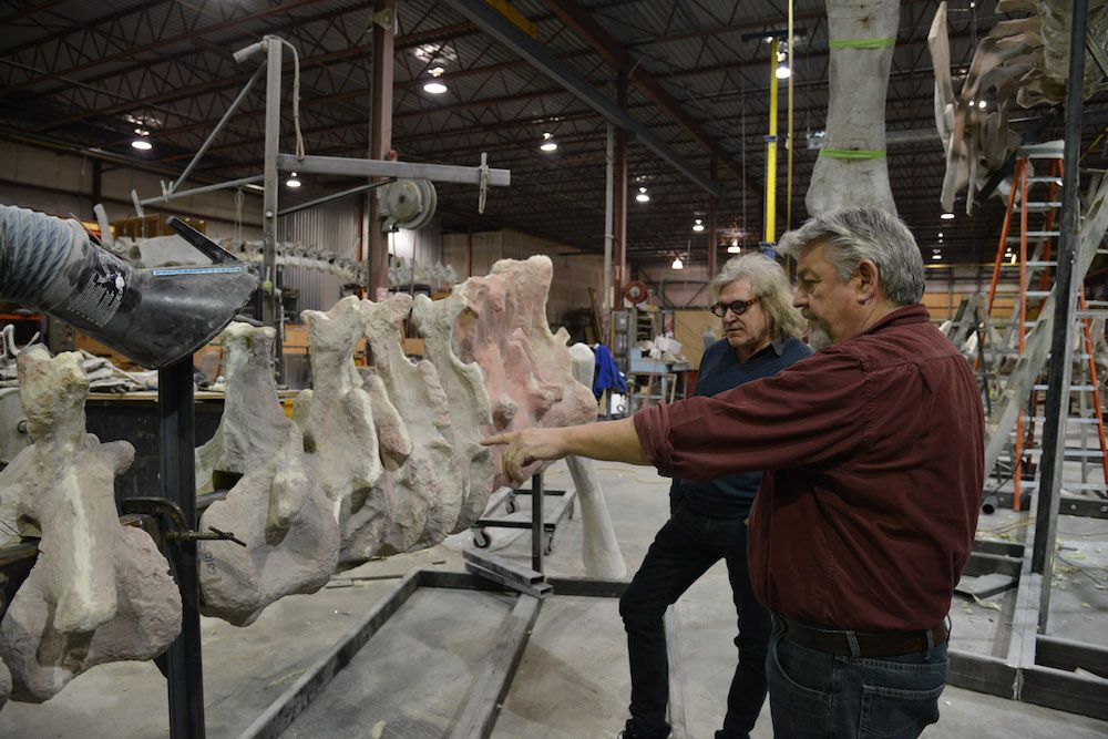 Photos: Enormous Titanosaur Invades New York Museum | Live Science