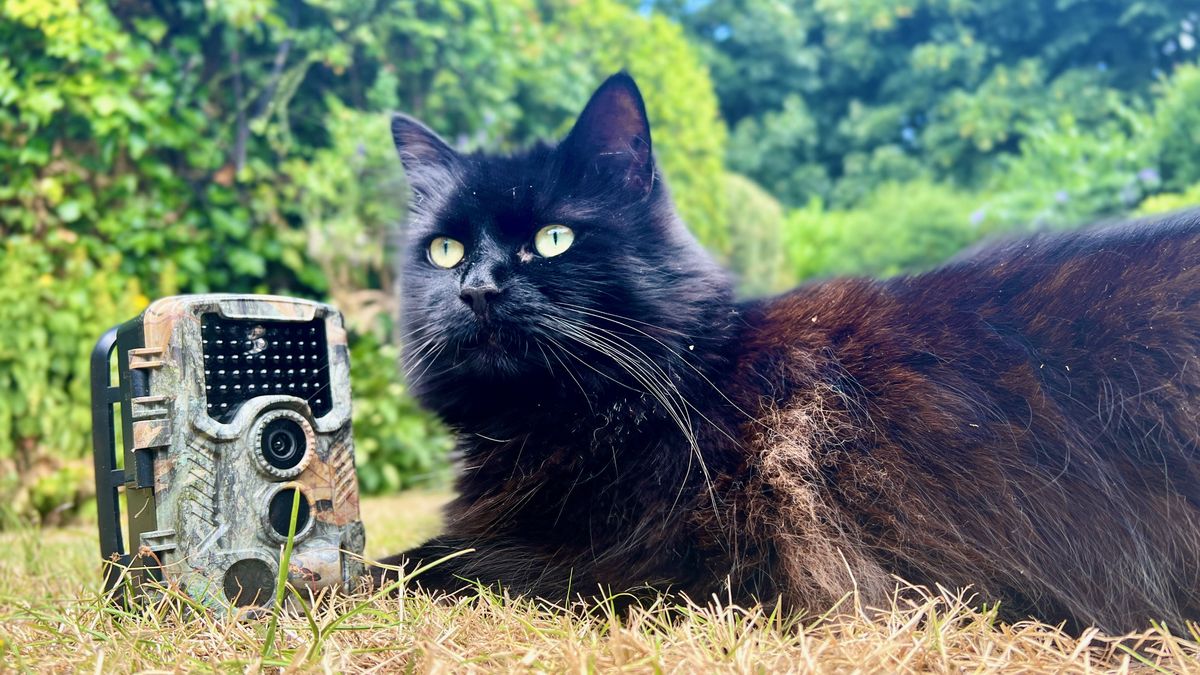 See what you can do with a trail camera! | Digital Camera World