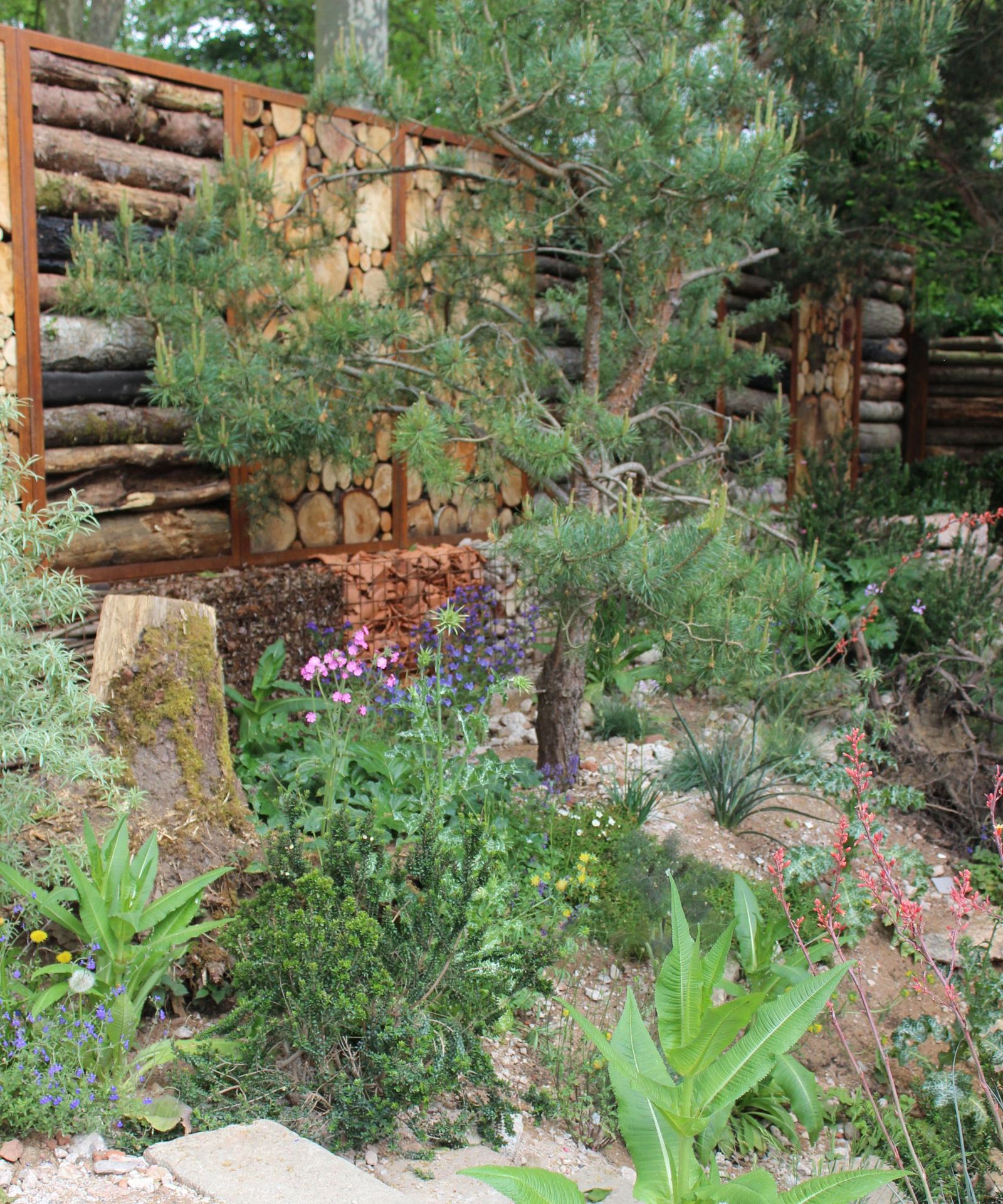 Best trees for small gardens, and how to help them thrive | Ideal Home