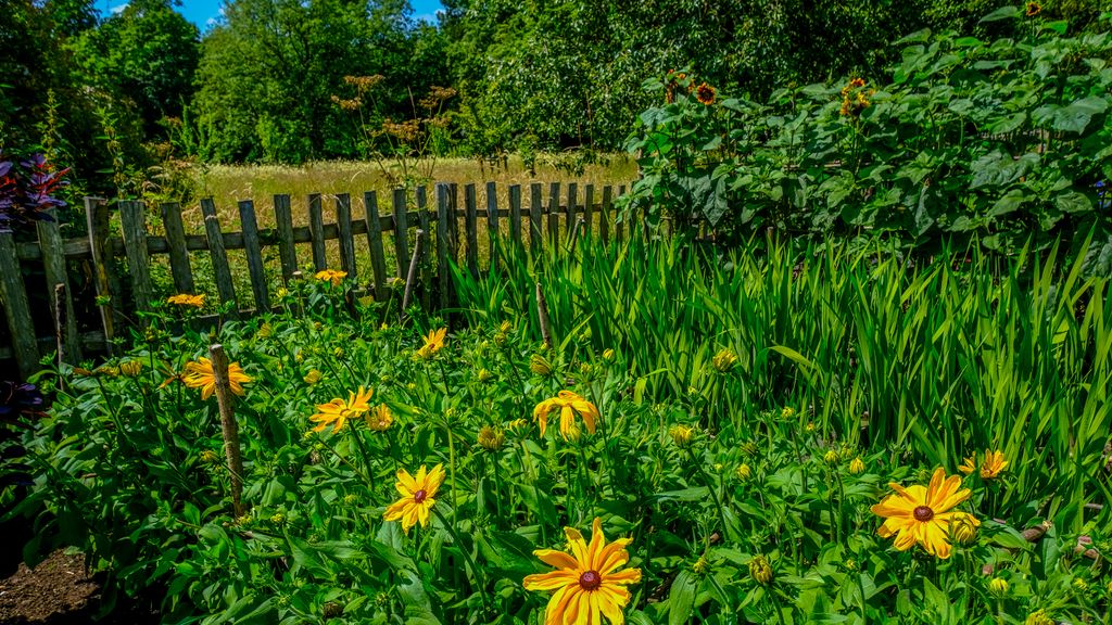 Small Fence Ideas to Zone, Divide and Define Your Garden | Homebuilding