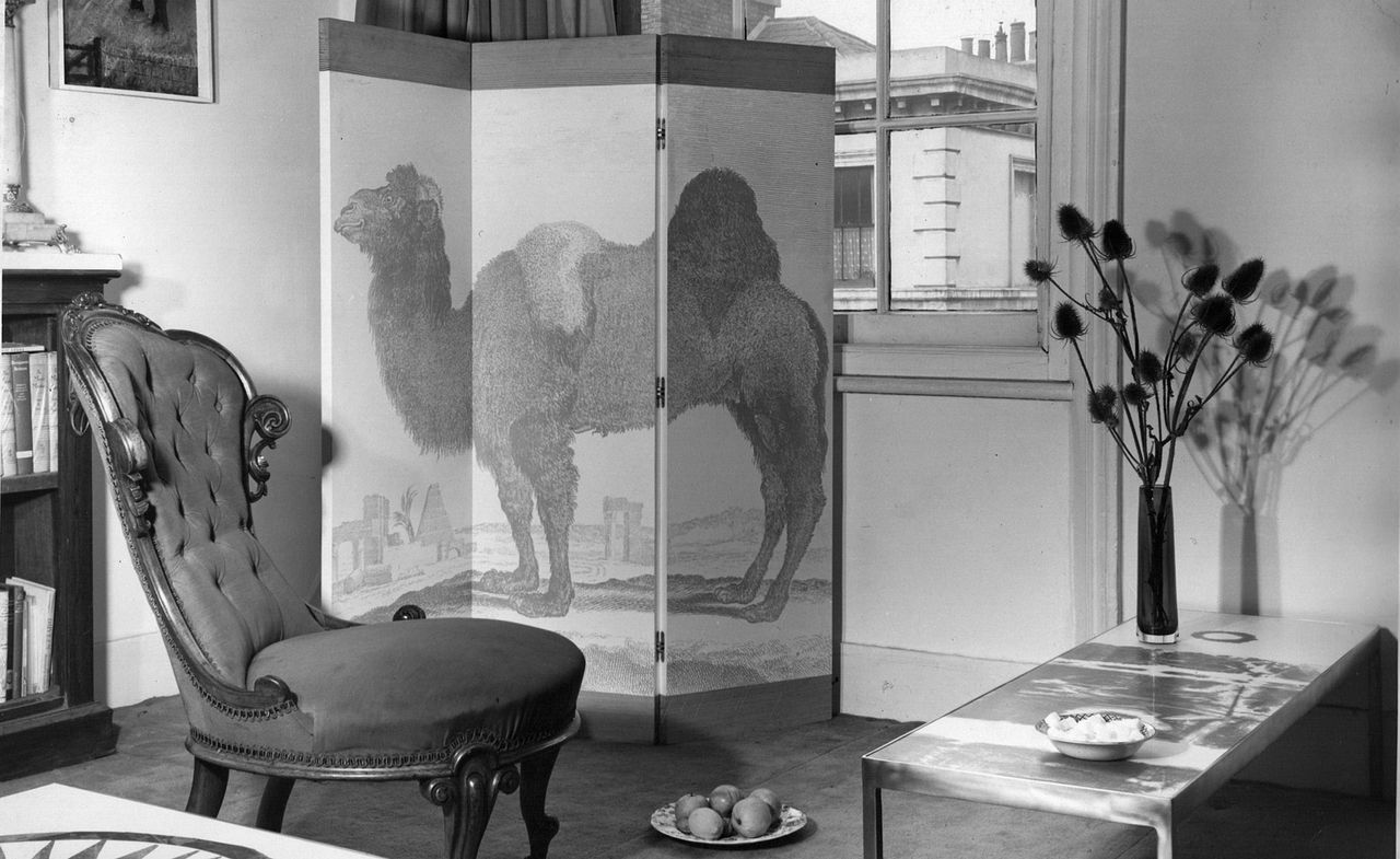 Paul Smith celebrates the Pop Art aesthetic of DANAD Design | Wallpaper