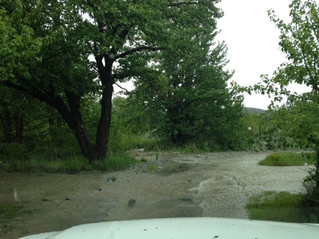 Photos: June Snowstorm Hits Glacier National Park | Live Science