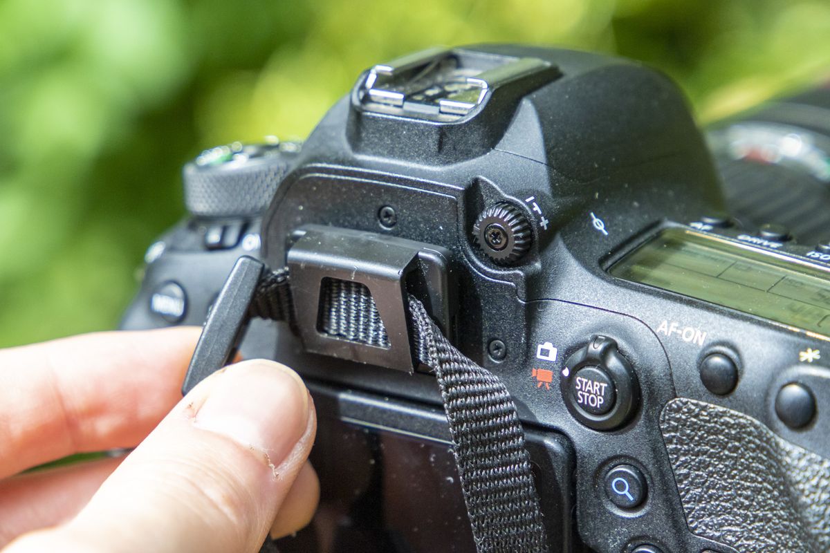 Take infrared photos on a tight budget with your DSLR or mirrorless ...