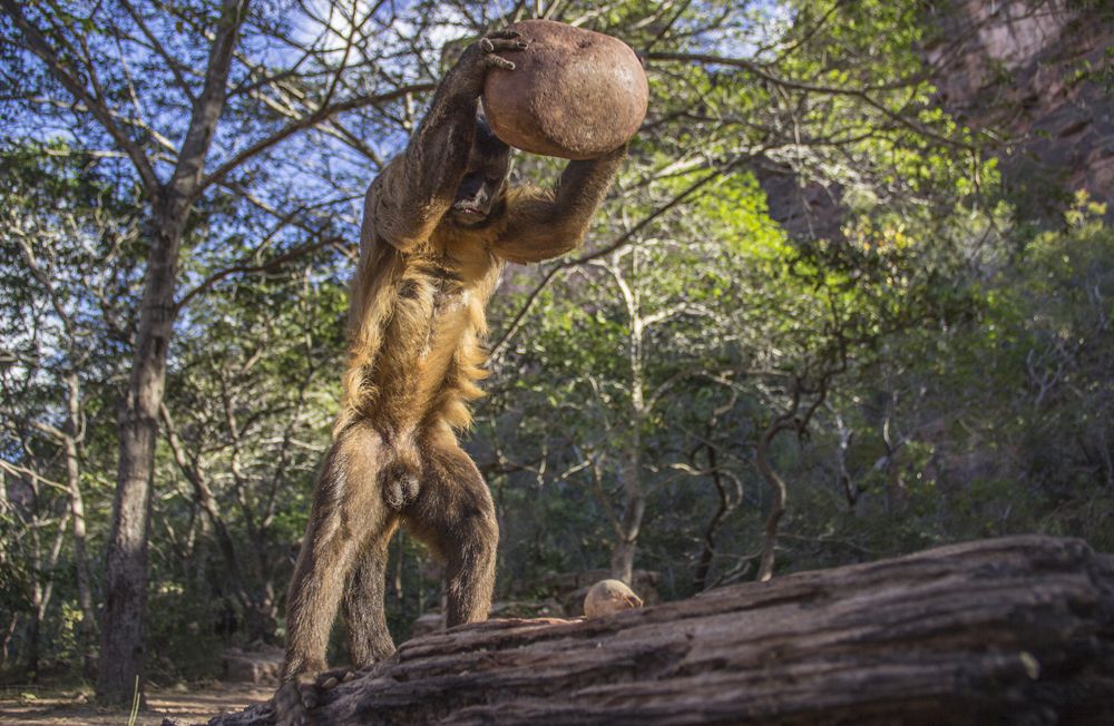 Through Their Eyes: Awesome Photos Show How Animals See the World ...