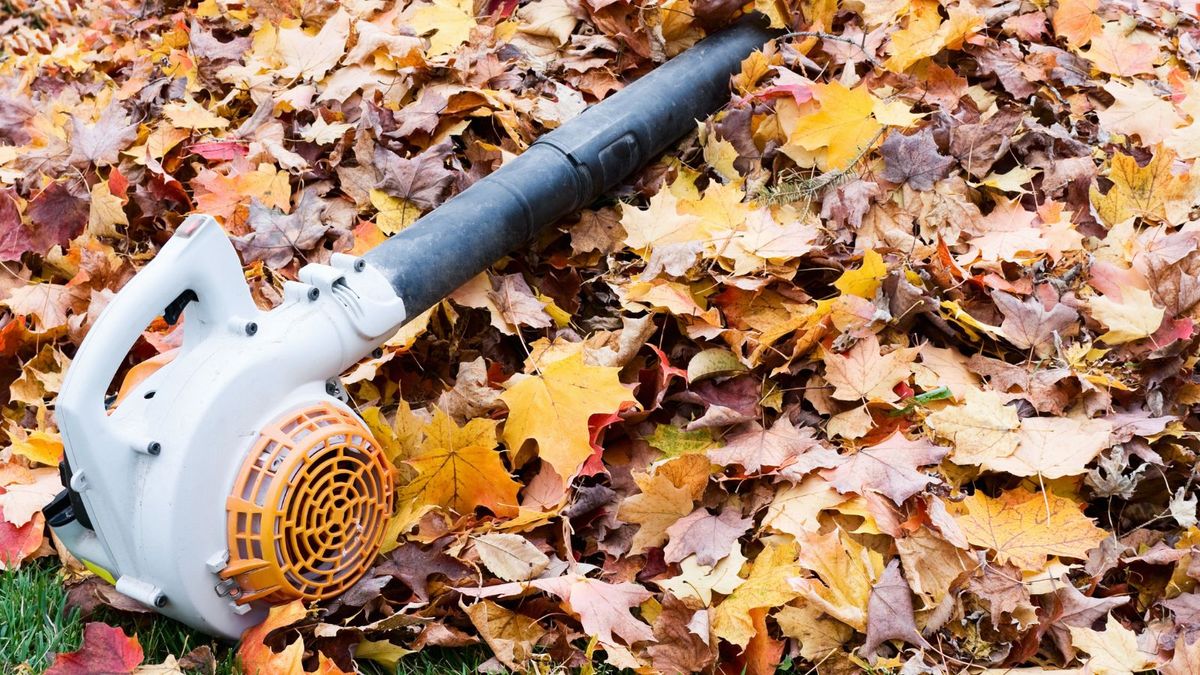 Why isn't my leaf blower working? How to fix a leaf blower | Homes and ...