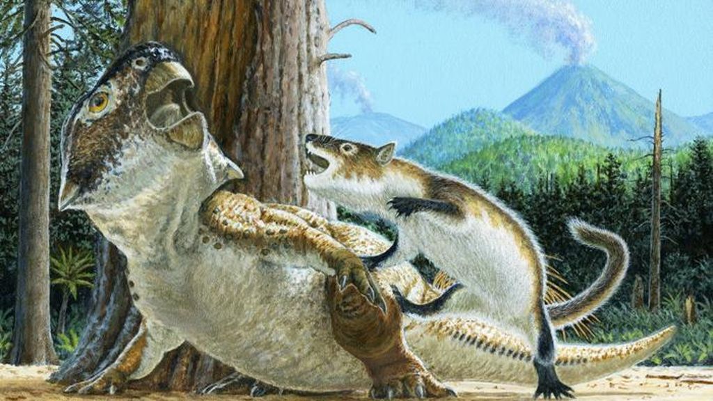 Final moments of dinosaur and mammal's epic 'mortal combat' battle ...