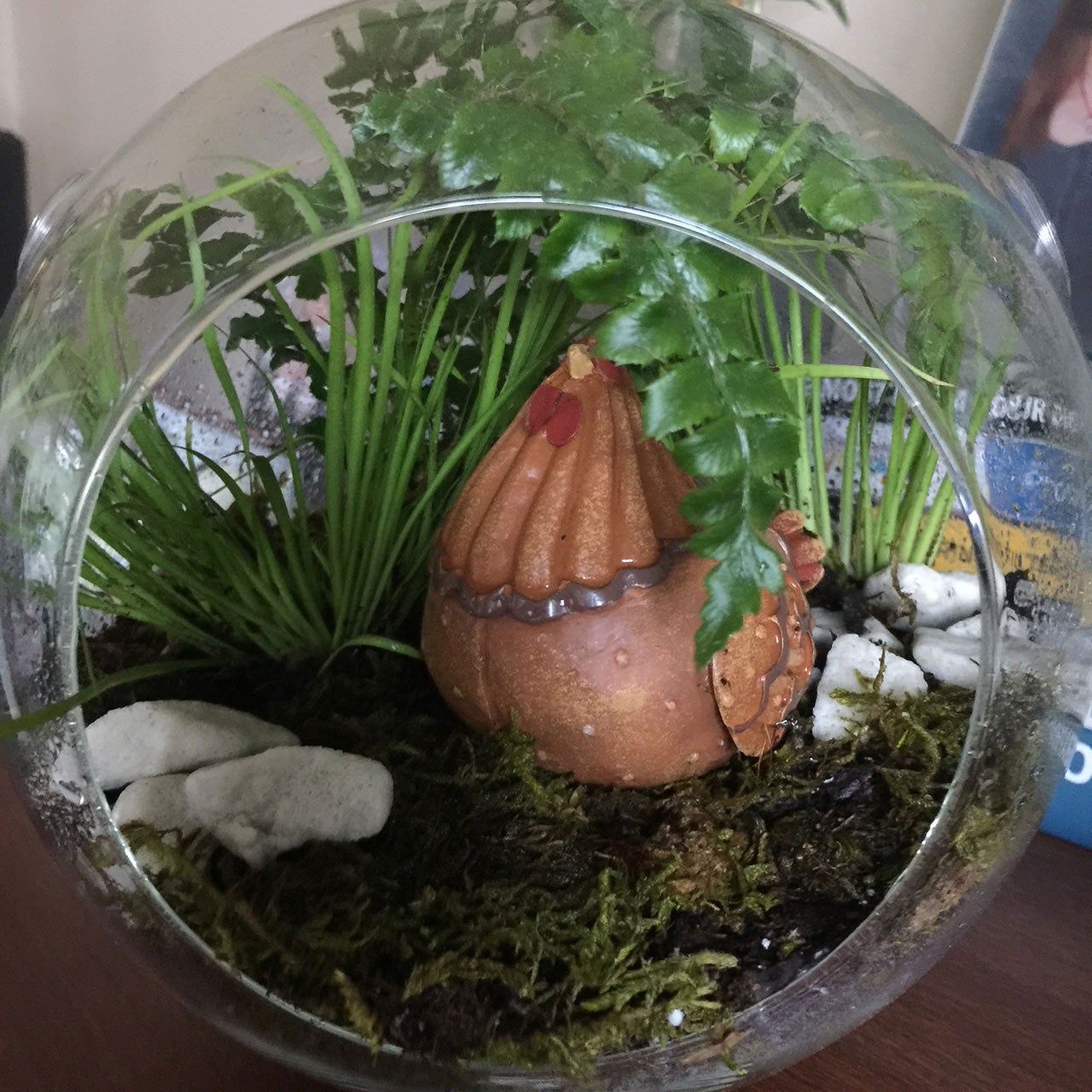 Plant Subscription Gifts For Gardeners - ‘My Garden Box’ Review ...