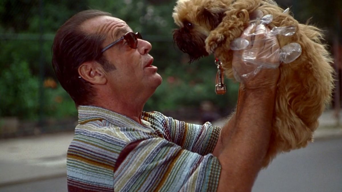 Jack Nicholson's Best Movies And How To Watch Them | Cinemablend