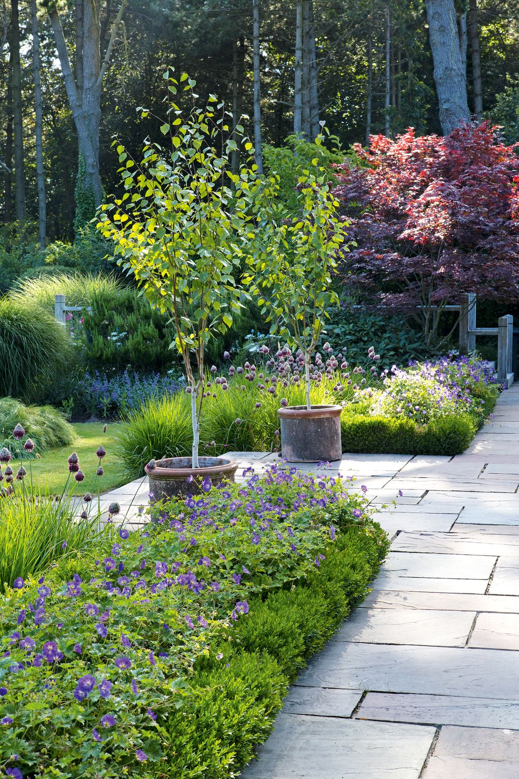 Trees with white bark: 10 varieties to bring contrast | Homes and Gardens