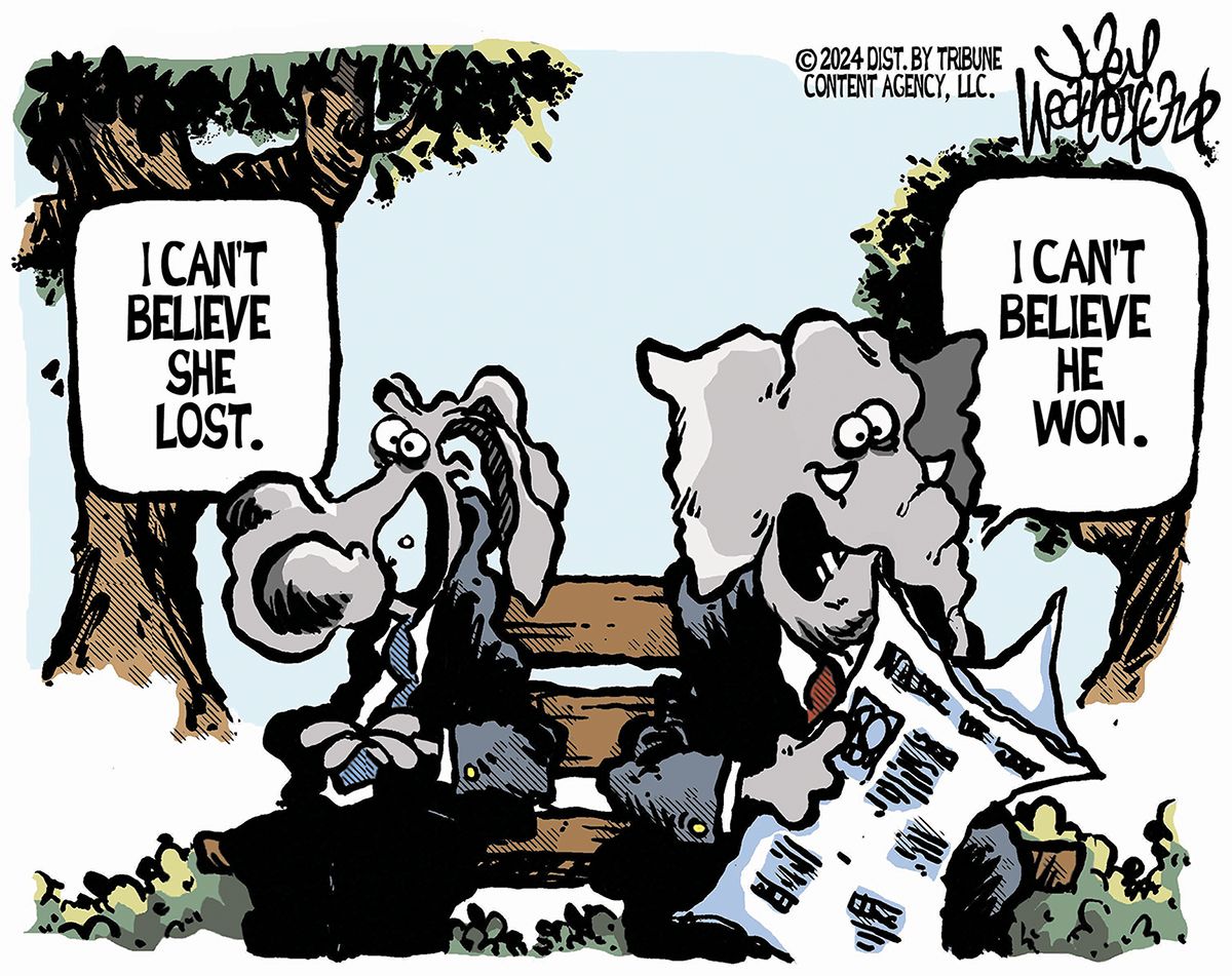 5 decidedly droll cartoons about the Democratic doom | The Week