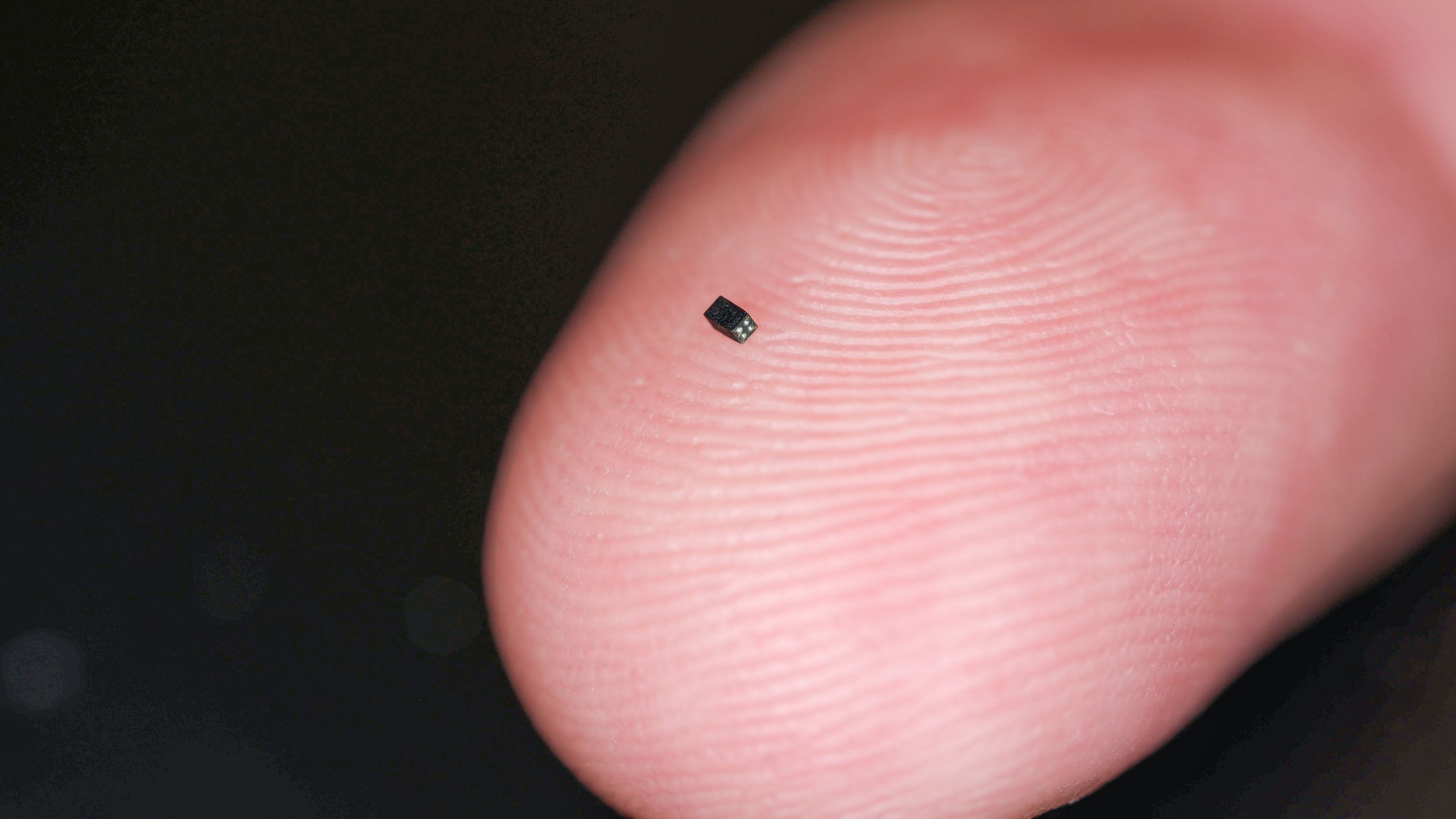 World's smallest camera is the size of a grain of sand | Digital Camera ...