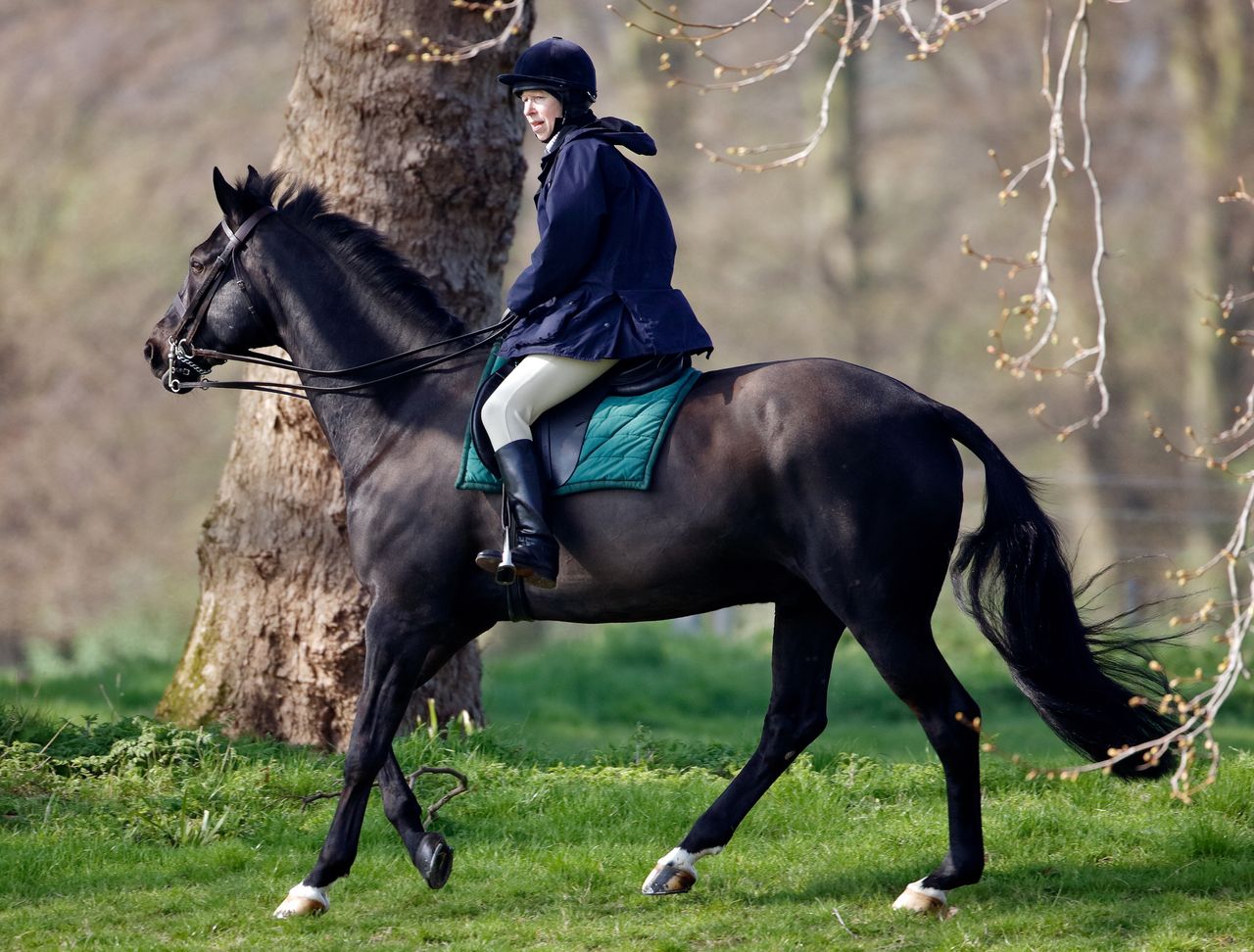 Was Princess Anne an Olympian and did she win a gold medal? | Woman & Home