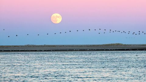 Supermoon — what is it and when is the next one? | Space