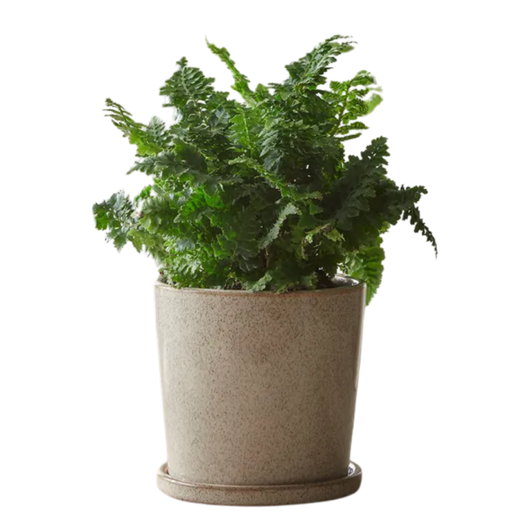 What Is Yūgen? A Japanese Aesthetic That Transforms a Home | Livingetc