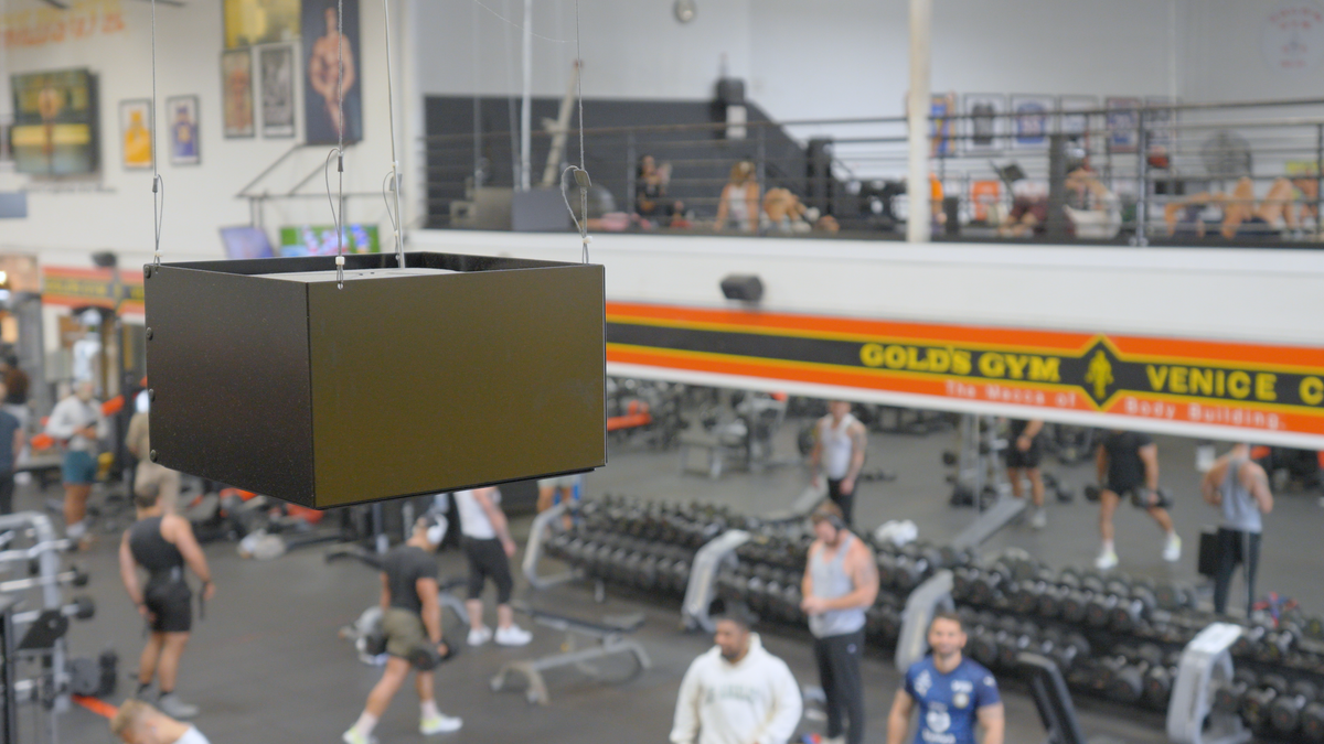Gold’s Gym, Venice Beach: Integrating a Modern Sound System into an ...