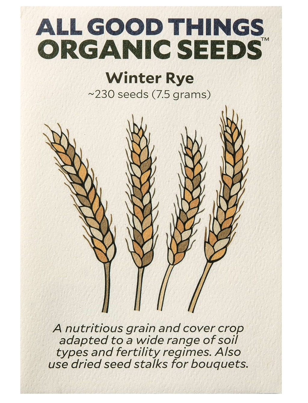 What to do with your vegetable beds in fall | Livingetc