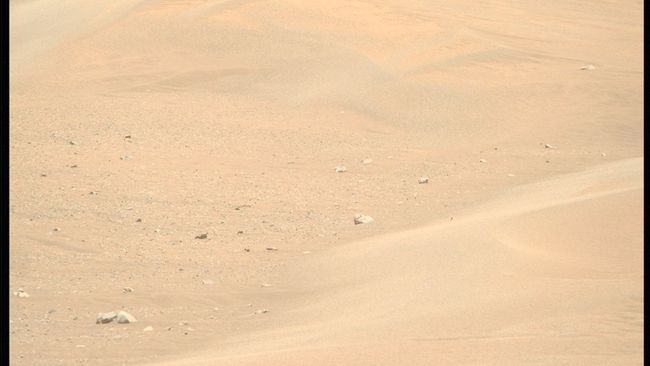 Perseverance Mars rover stumbles upon wind-carved 'megaripples' on the ...