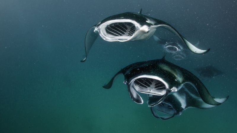 Articles by Amanda Heidt, Live Science Contributor | Live Science