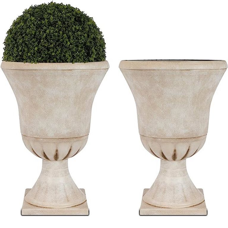 Best container plants for pollinators: 7 nectar-rich blooms | Homes and ...