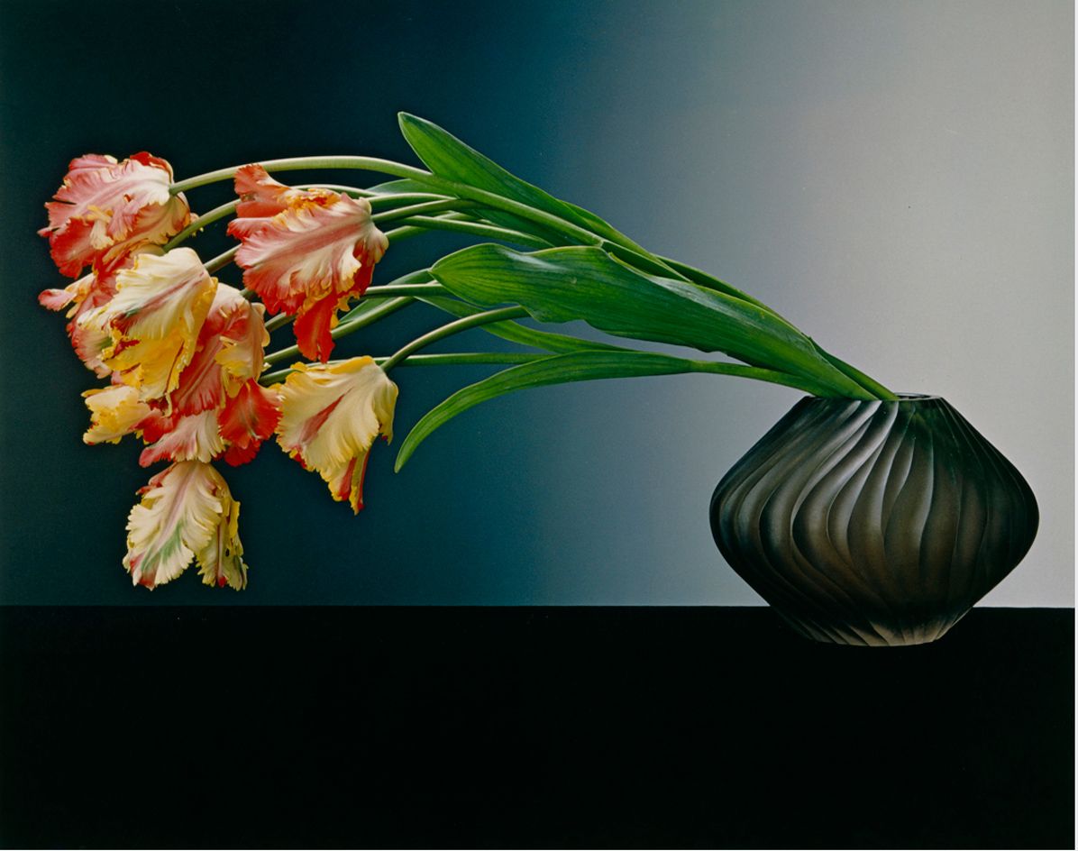 Mapplethorpe's life's work celebrated in dual US exhibitions | Wallpaper