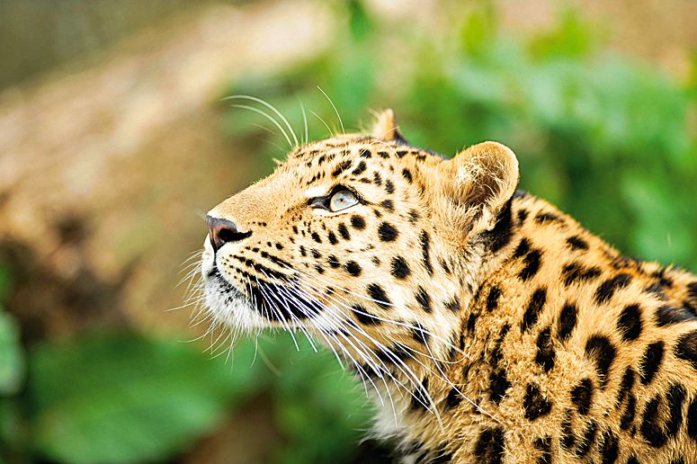 Depth of field explained | TechRadar