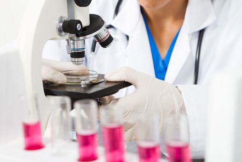 10 Science Discoveries to Be Thankful for | Live Science