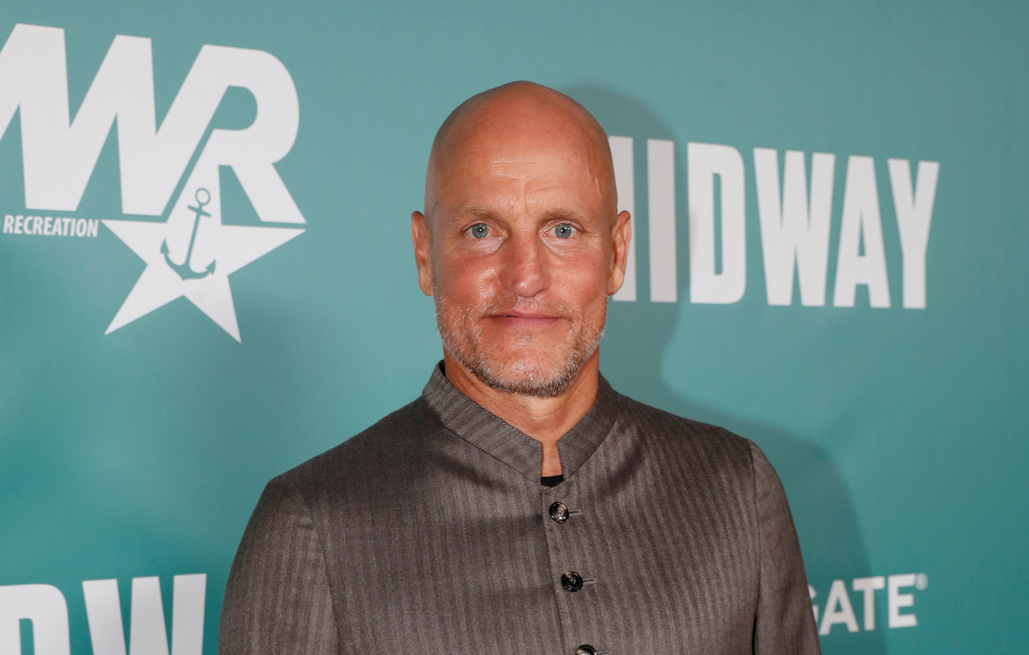 White House Plumbers: release date, trailer, cast,…