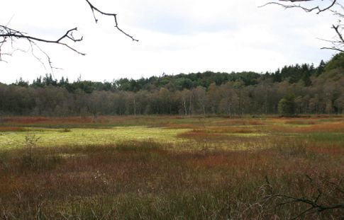 Gallery: First Red List of Endangered Ecosystems | Live Science