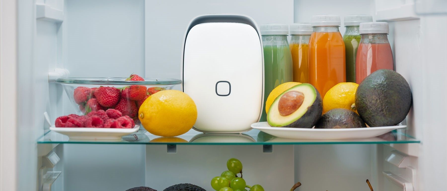 Vitesy Shelfy Fridge Freshener Review | Tom's Guide