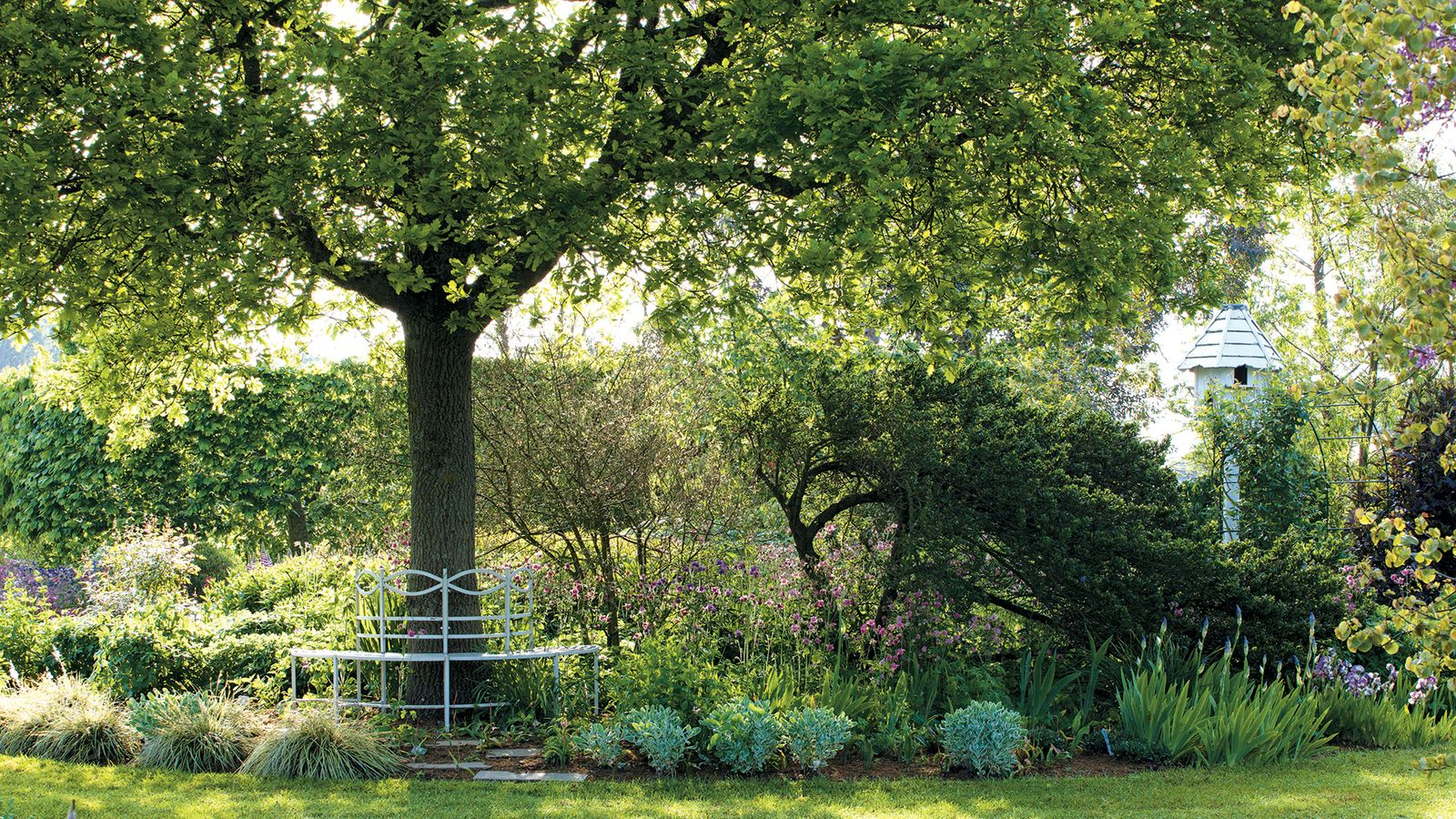 Best trees for shade: including fast-growing varieties | Homes and Gardens