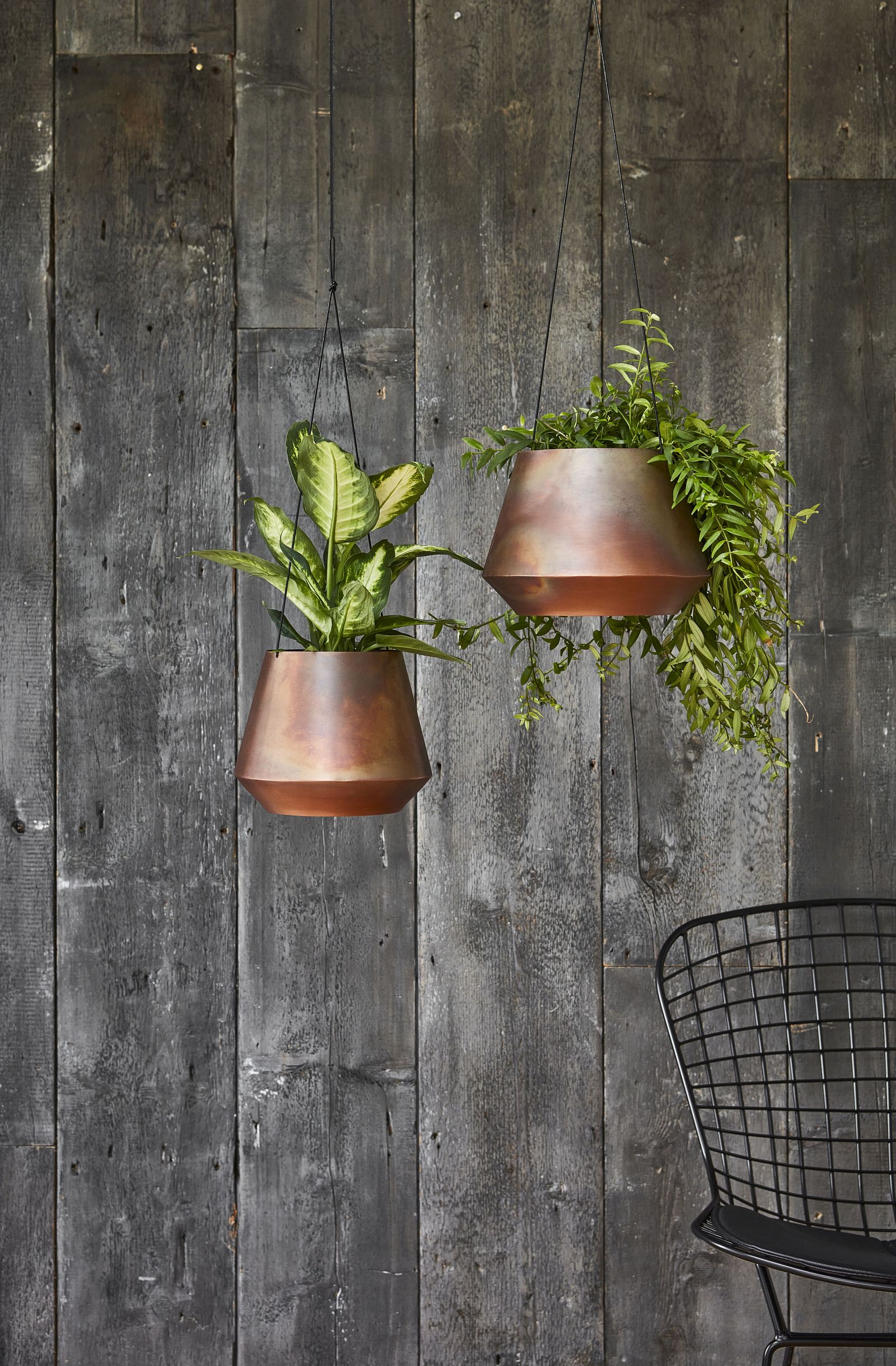 How to hang plants from the ceiling safely | Livingetc