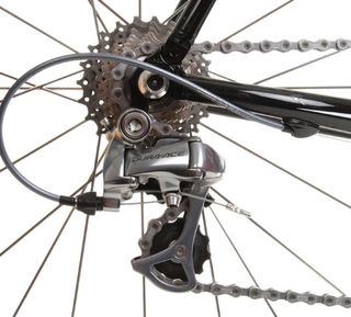 Avanti Quantum Team | Cyclingnews