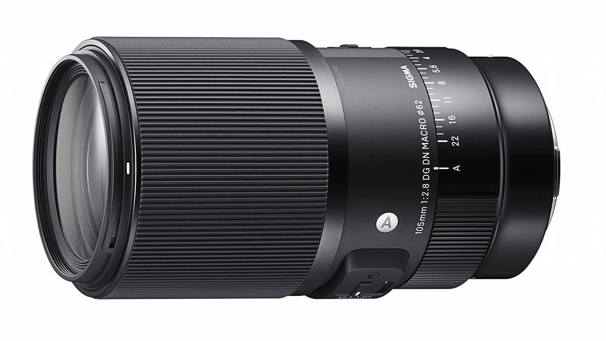 Photo kit field guide: best gear for macro photography | Digital Camera ...