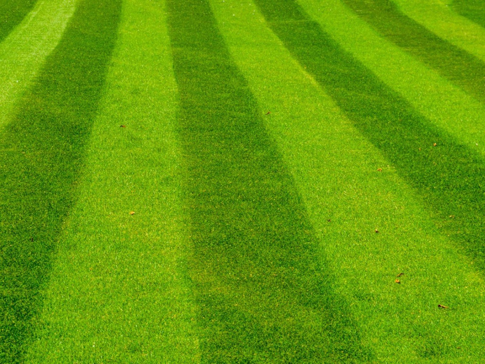 Lawn Pattern Landscaping – Tips For Cutting A Lawn In Patterns ...