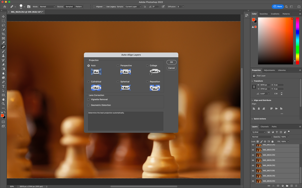 How to use a macro focusing rail for a focus-stacked close-up | Digital ...
