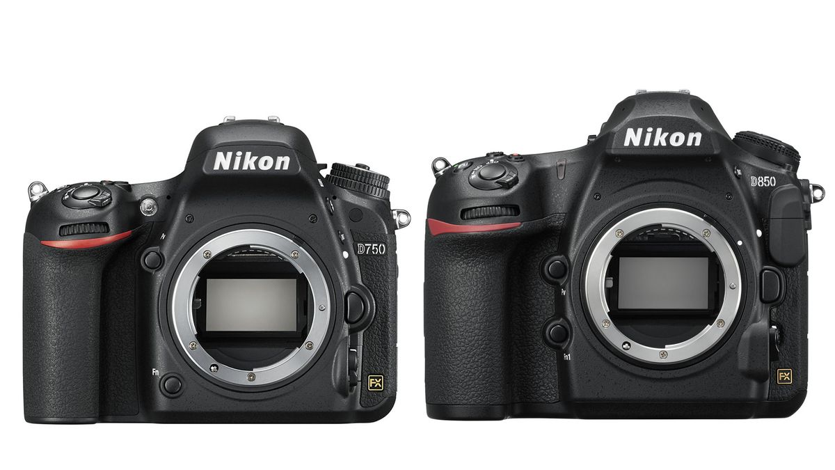 Nikon D750 vs Nikon D850: what's the difference? | Digital Camera World