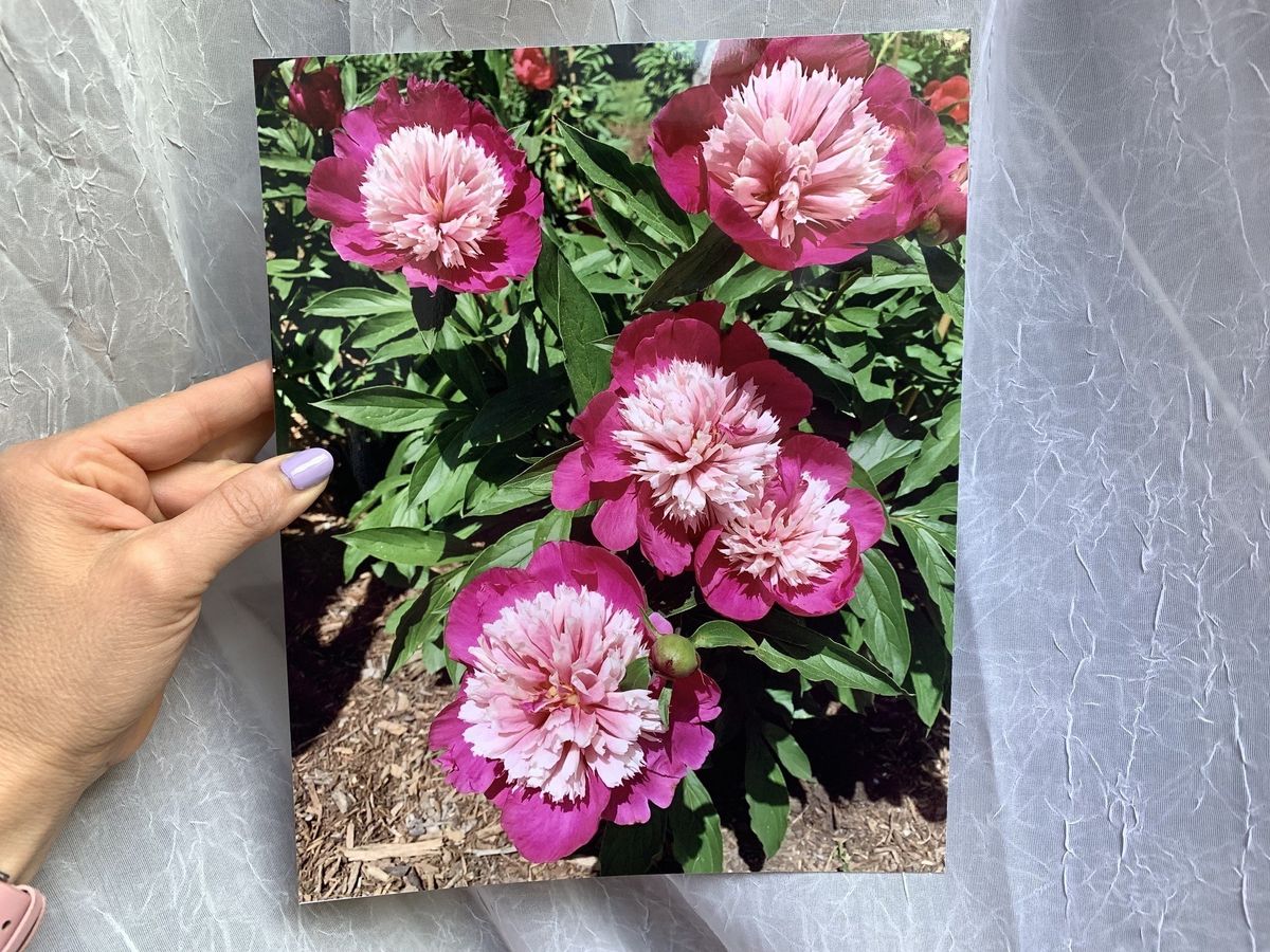 Walmart Photo Printing review: An inexpensive option | iMore