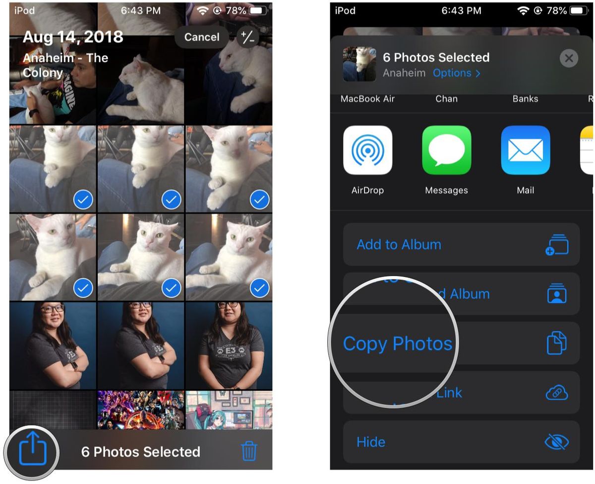 How to navigate the Photos app on iPhone and iPad | iMore