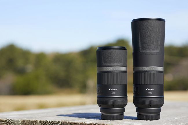 Super telephoto photography tips for Canon’s mighty RF 800mm f/11 lens ...