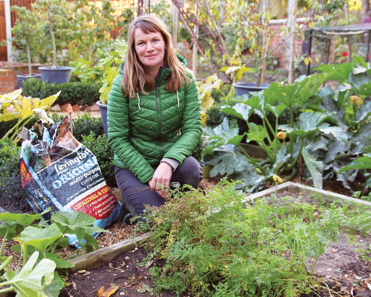 How to store carrots from the garden to keep them fresh | Gardeningetc