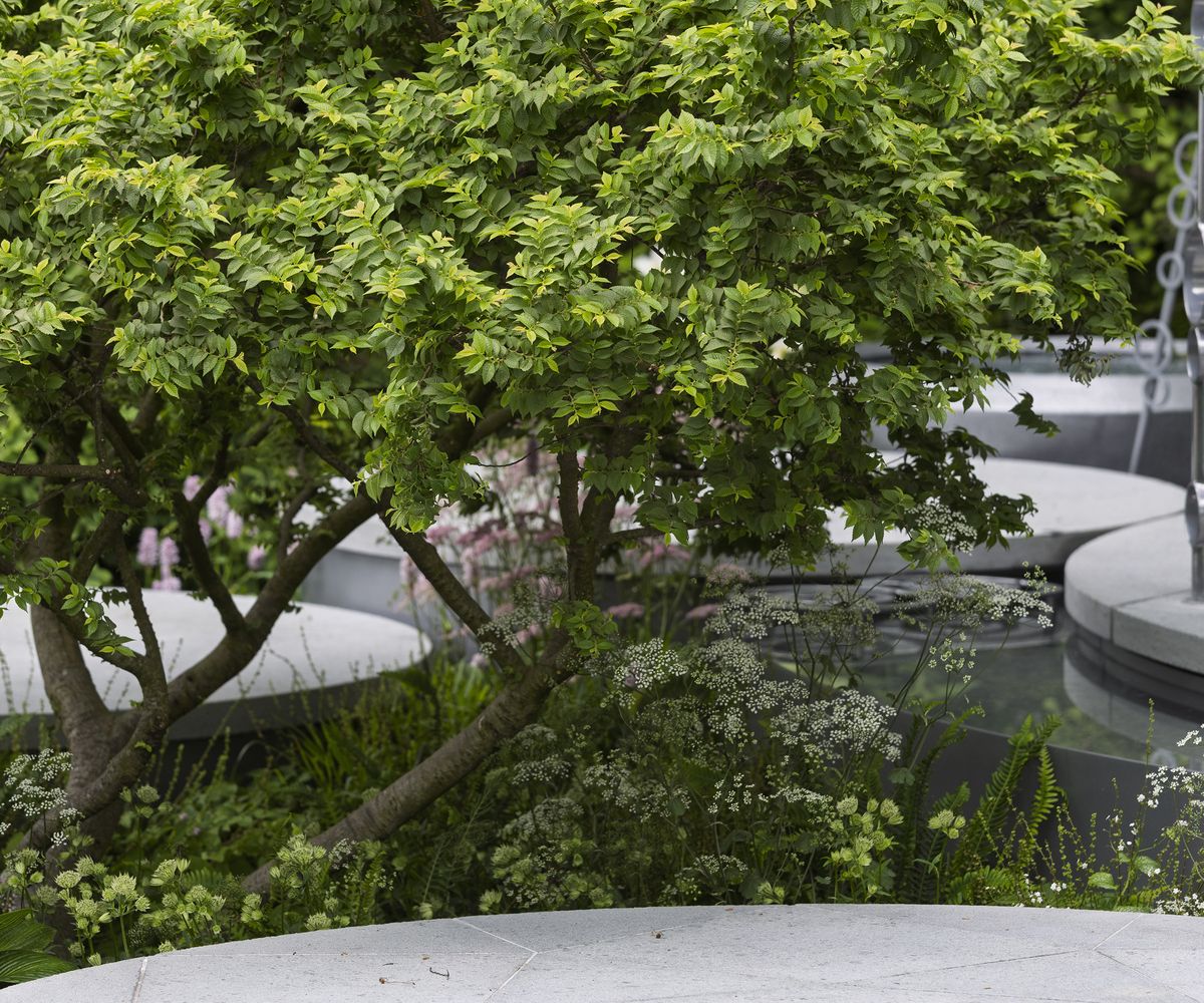 11 garden trends to look out for in 2025 | Homebuilding