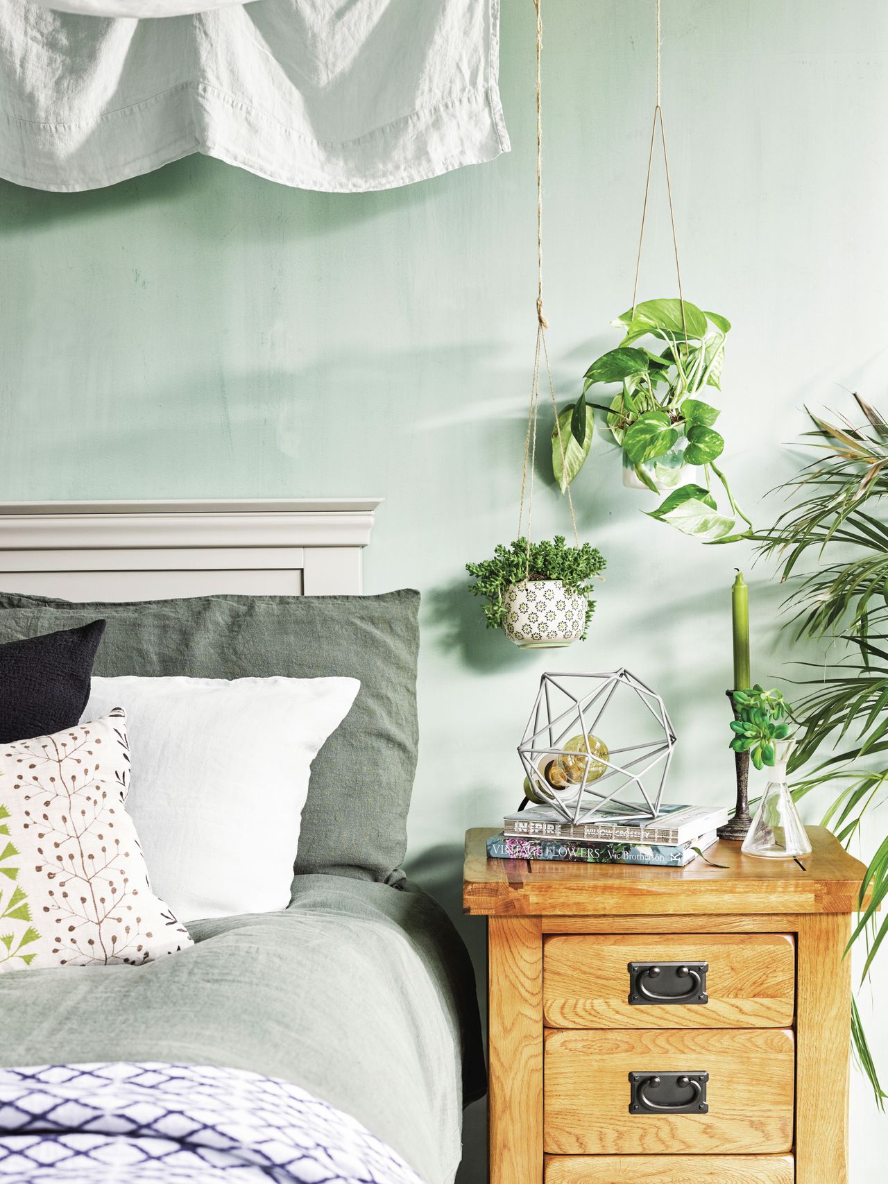 10 best bedroom plants for better air quality and a beautiful sleeping ...