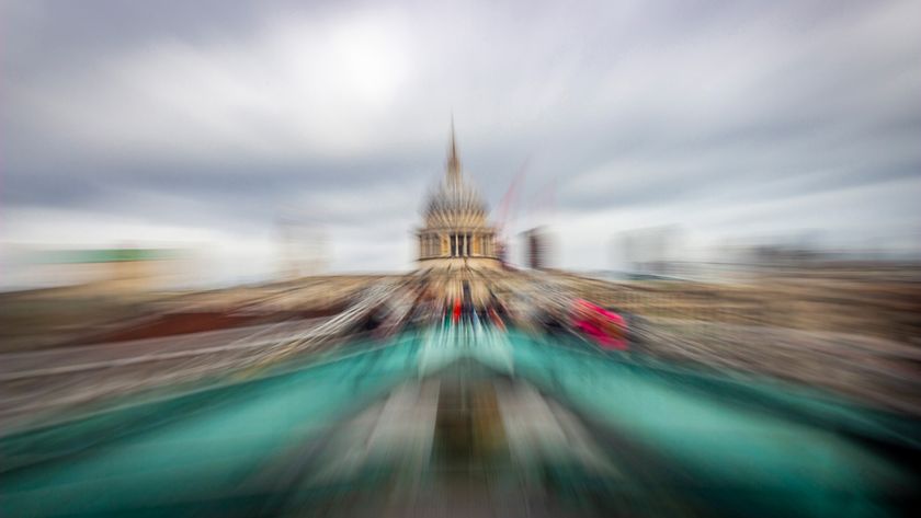These Fill The Frame Photography Examples Will Help Elevate Your Frame These Fill The Frame Photography Examples Will Help Elevate Your Frame