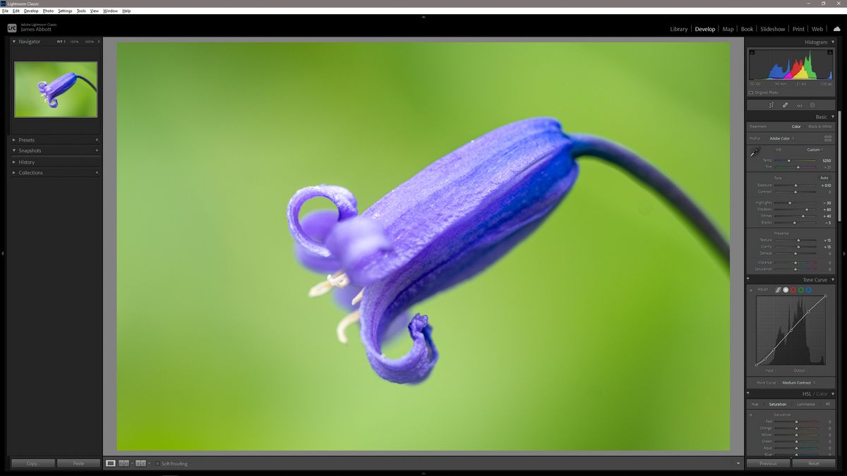 Affinity Photo vs Photoshop: which is right for you? | Creative Bloq