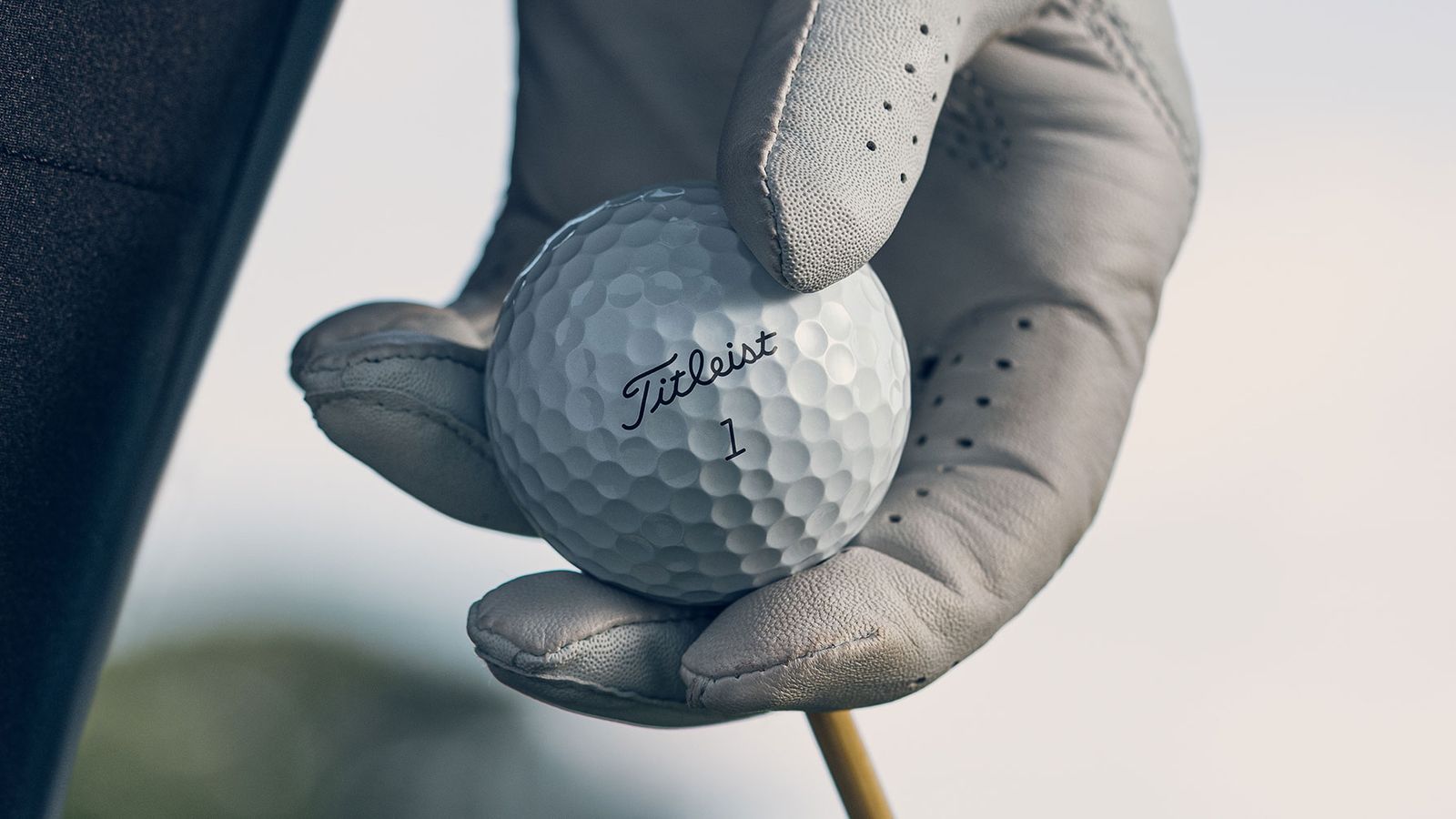 Who Needs Black Friday? The Titleist Pro V1 Golf Ball Is Available At ...