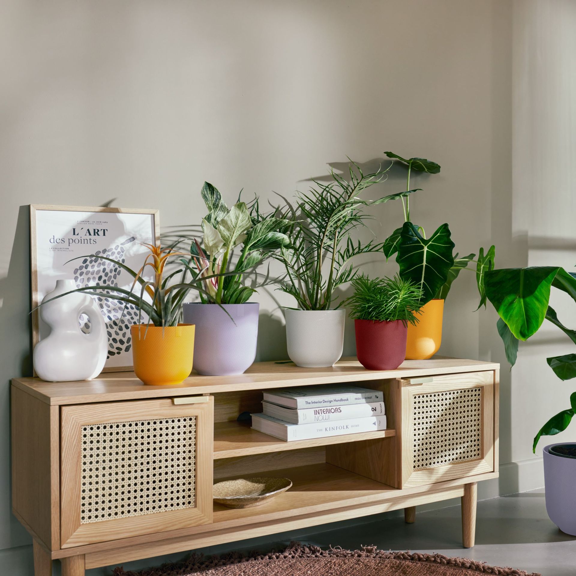 This clever iPhone hack helps you identify plants instantly | Ideal Home