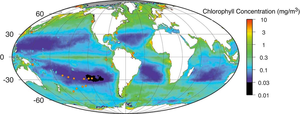 Earth Supports One-Third Less Life Than Thought | Live Science